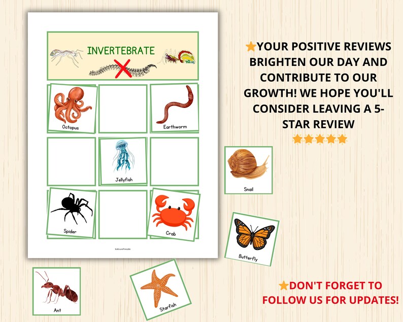 Animal Sorting Game,vertebrates and Invertebrates Sorting Cards,animal ...