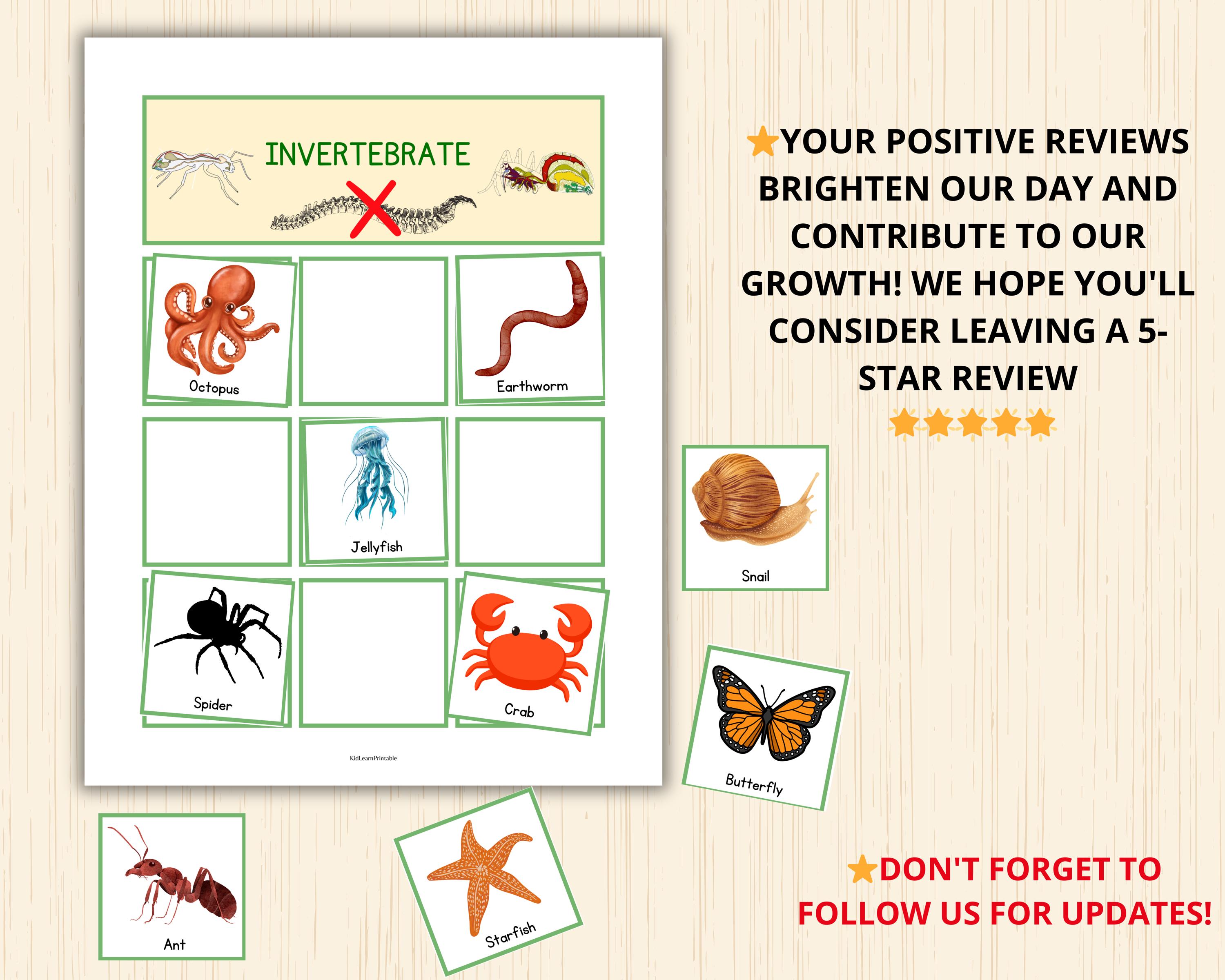 Animal Sorting Game,vertebrates and Invertebrates Sorting Cards,animal ...