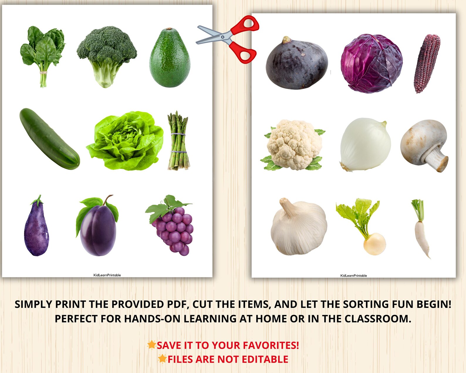 Fruits and Vegetables Sorting Activity,color Matching Game,fruits and ...