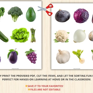 Fruits and Vegetables Sorting Activity,color Matching Game,fruits and ...