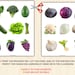 Fruits and Vegetables Sorting Activity,color Matching Game,fruits and ...