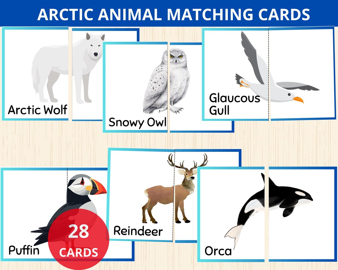 Arctic Animal Matching,arctic Animal Puzzle,winter Animal Montessori ...