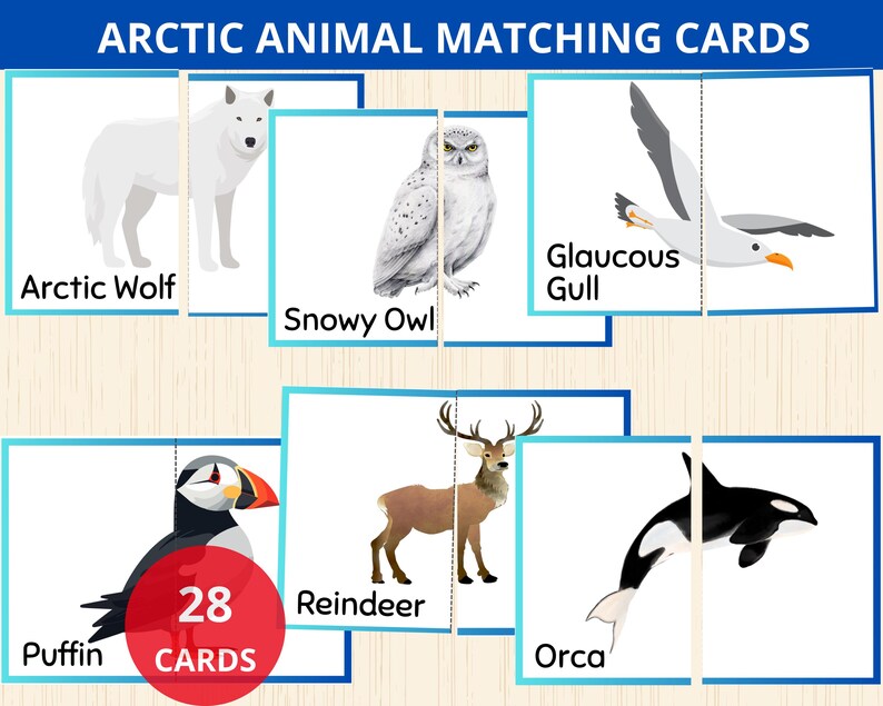 Arctic Animal Matching,arctic Animal Puzzle,winter Animal Montessori ...