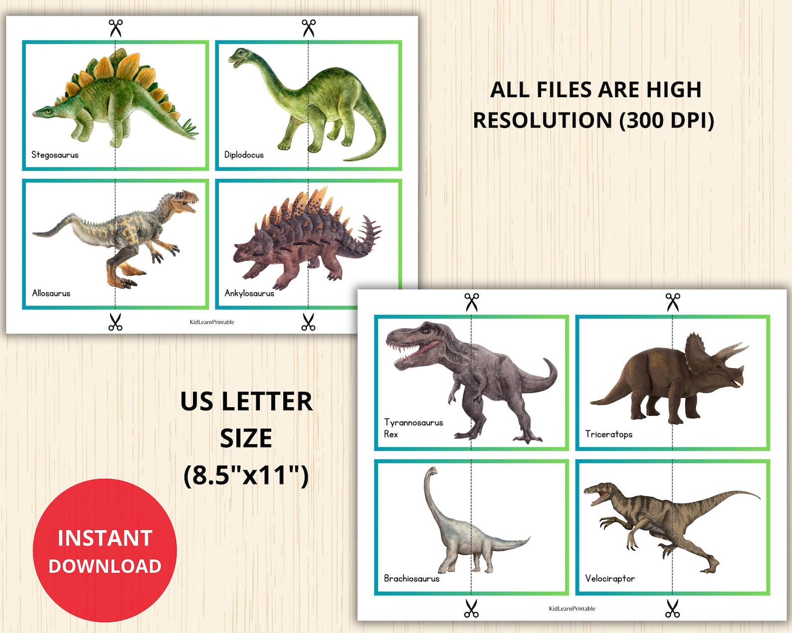 Dinosaur Flashcard,halves Matching,dinosaur Montessori,dinosaur ...