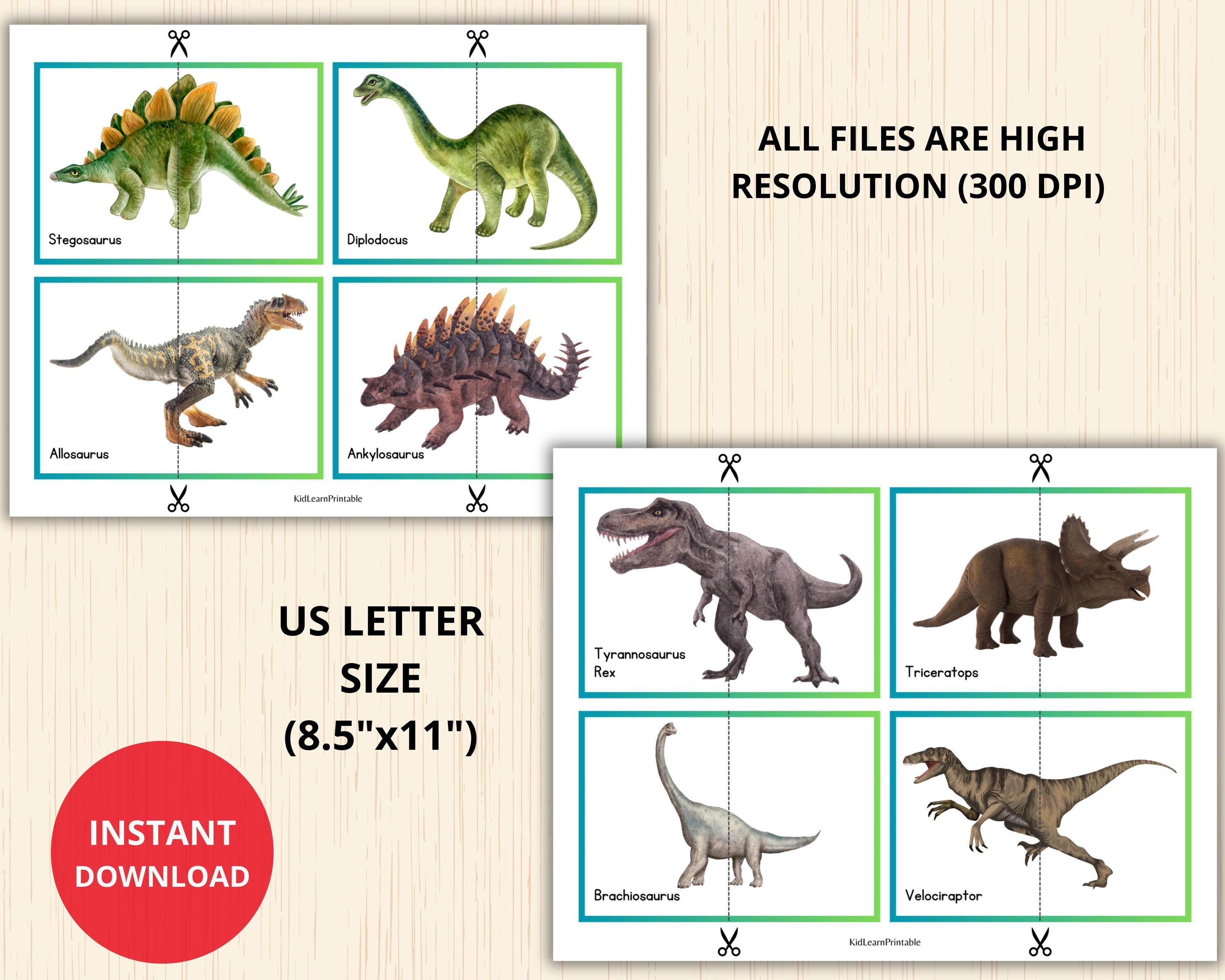 Dinosaur Flashcard,halves Matching,dinosaur Montessori,dinosaur ...