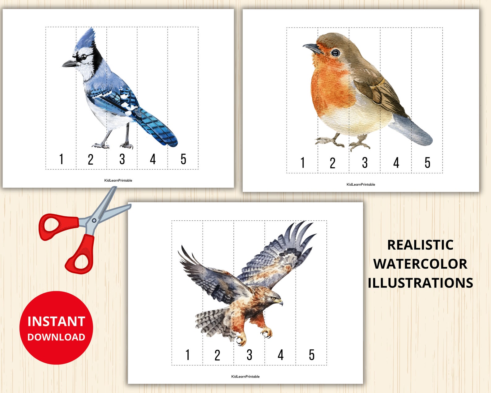 Birds Puzzle, Birds Number Sequence Puzzle,montessori Spring Math ...