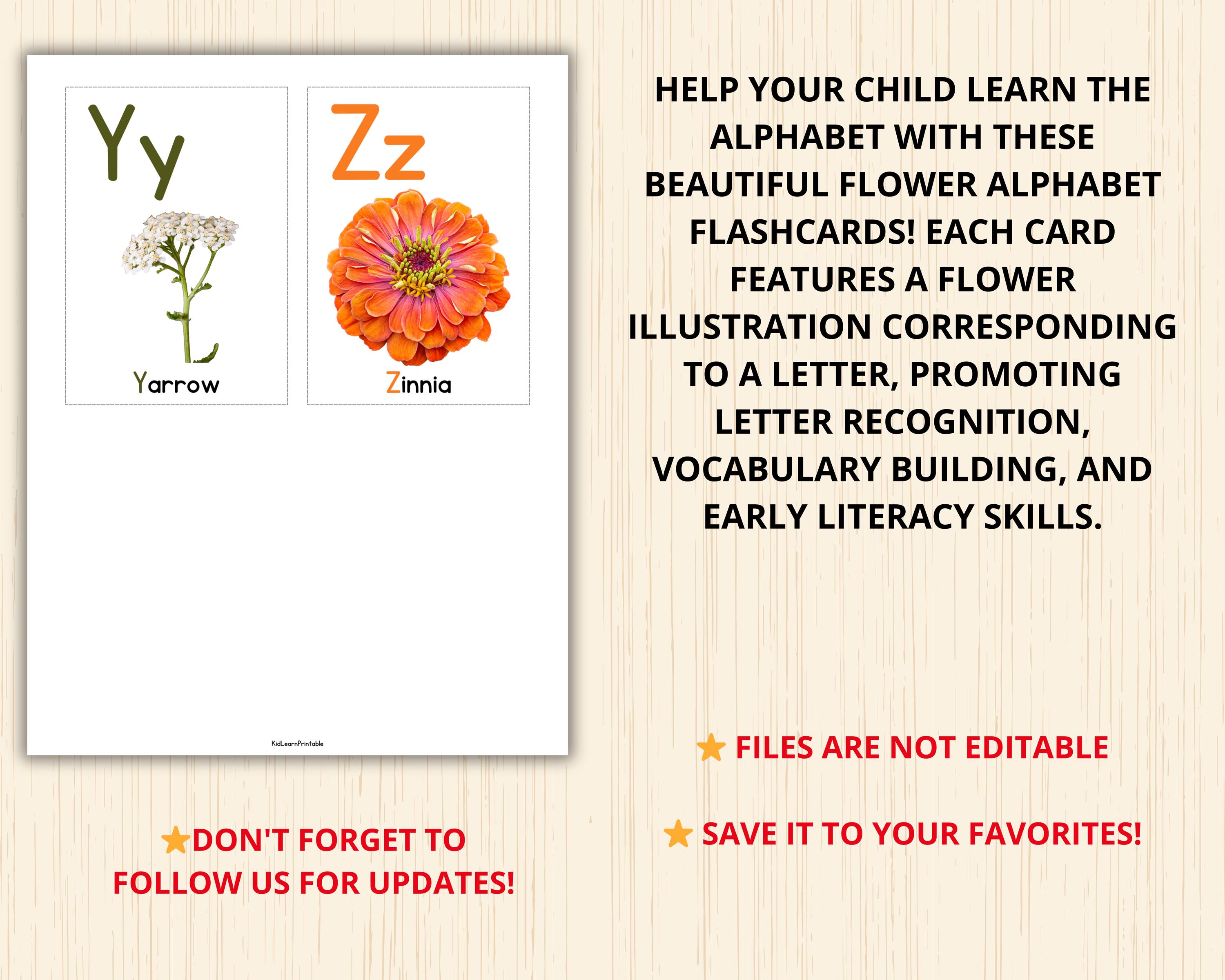 Flower Alphabet,flower Flashcards,flower Identification Cards,abc ...
