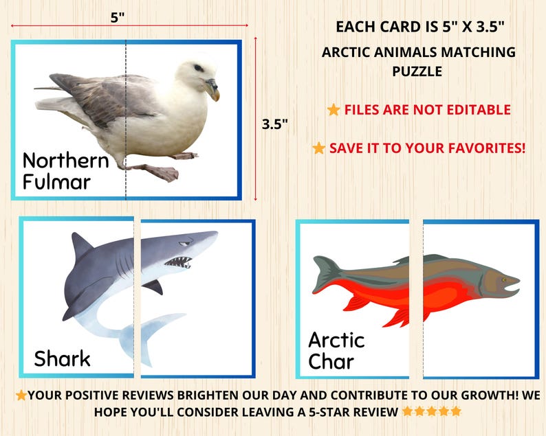 Arctic Animal Matching,arctic Animal Puzzle,winter Animal Montessori ...