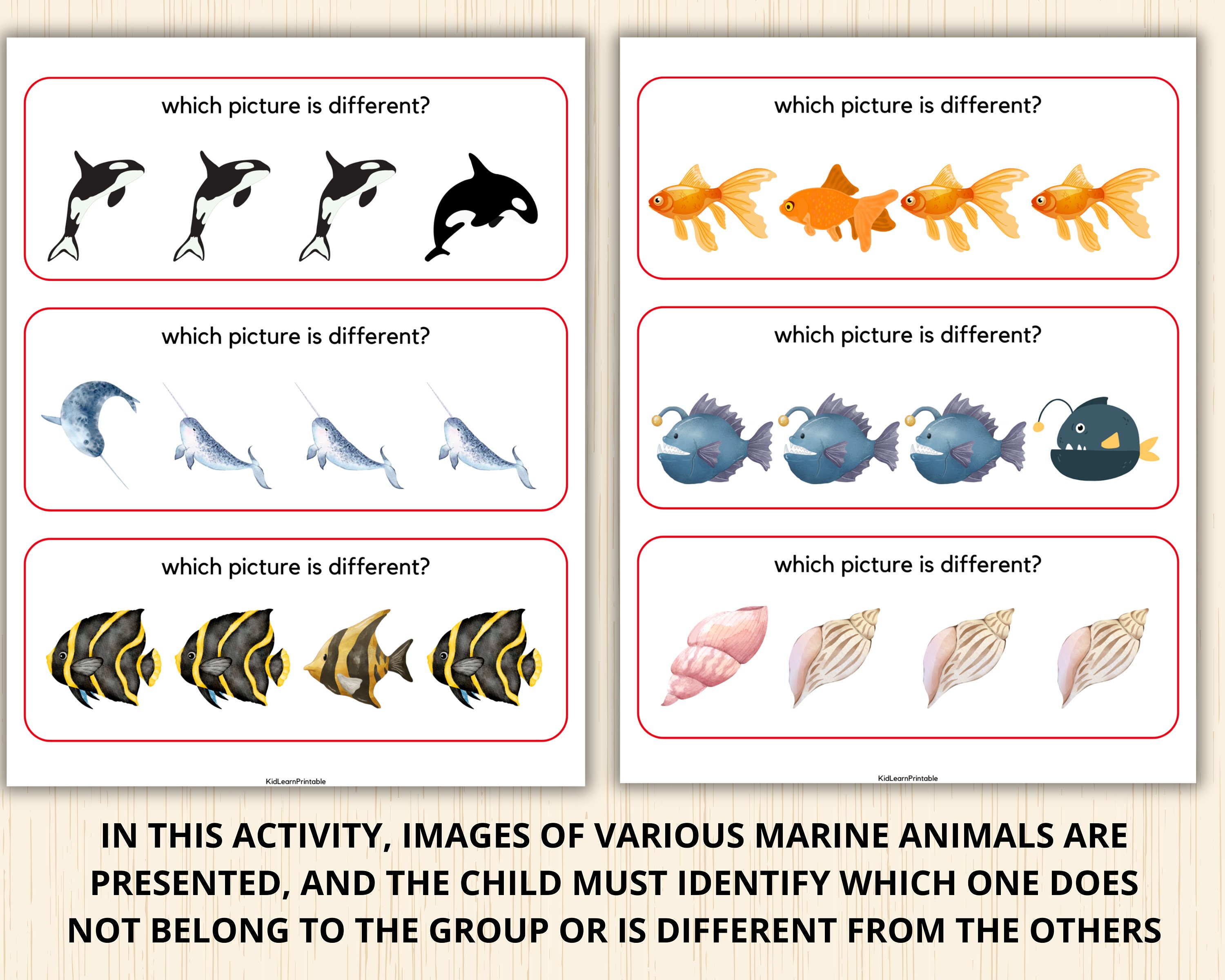 Find the Odd One Out,ocean Animals Activity,matching Similar and ...