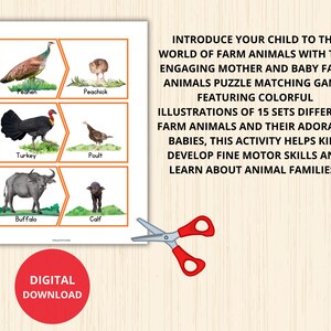 Mother and Baby Farm Animal Matching Card,montessori Farm Unit,farm ...