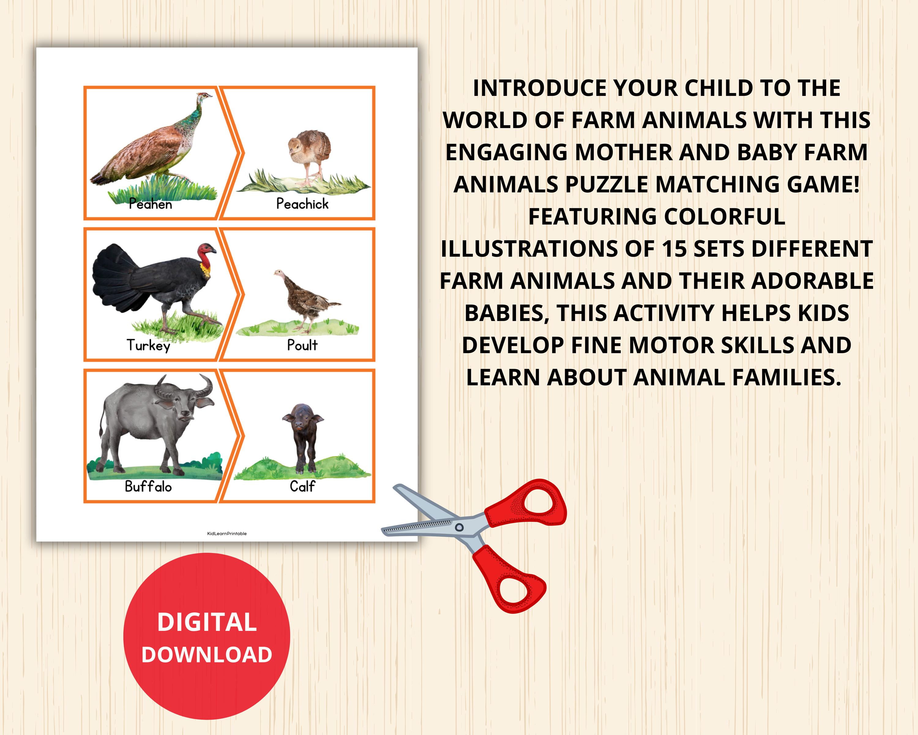 Mother and Baby Farm Animal Matching Card,montessori Farm Unit,farm ...