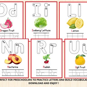 Fruit Alphabet Tracing Cards,alphabet Tracing Worksheets,fruits and ...