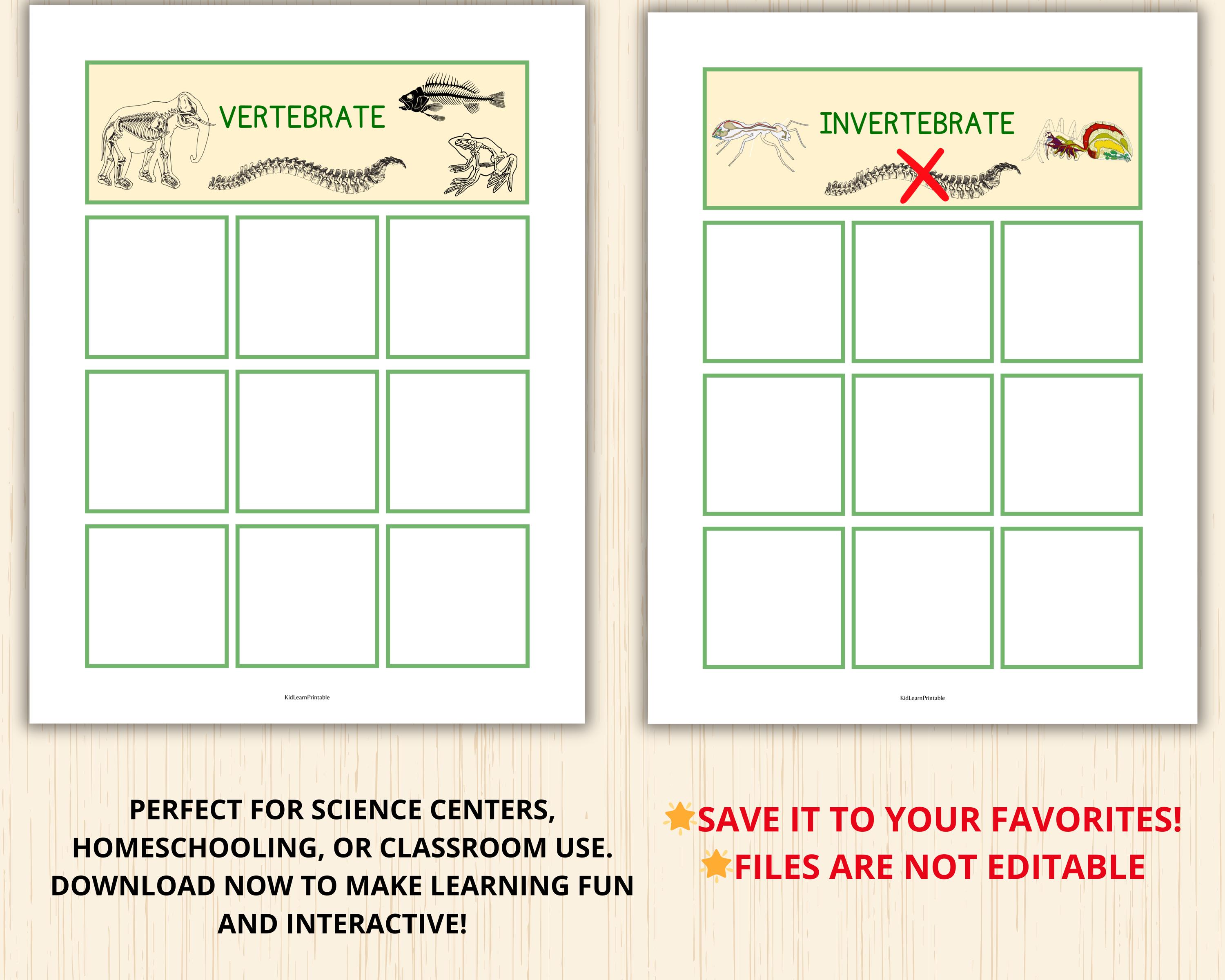 Animal Sorting Game,vertebrates and Invertebrates Sorting Cards,animal ...