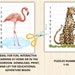 African Animal Number Puzzle, Numbers 1-10,african Animals Montessori ...