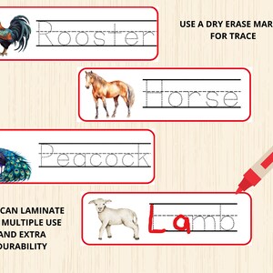 Farm Animals Word Tracing Cards,farm Words Tracing,farm Montessori,farm ...