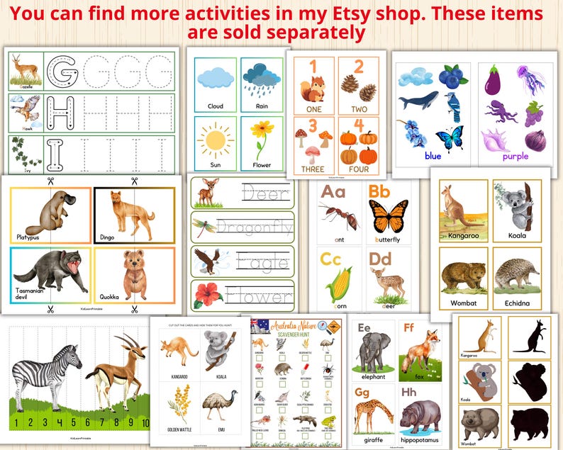 Australian Animal Flashcards,australia Flash Cards,australia Montessori ...