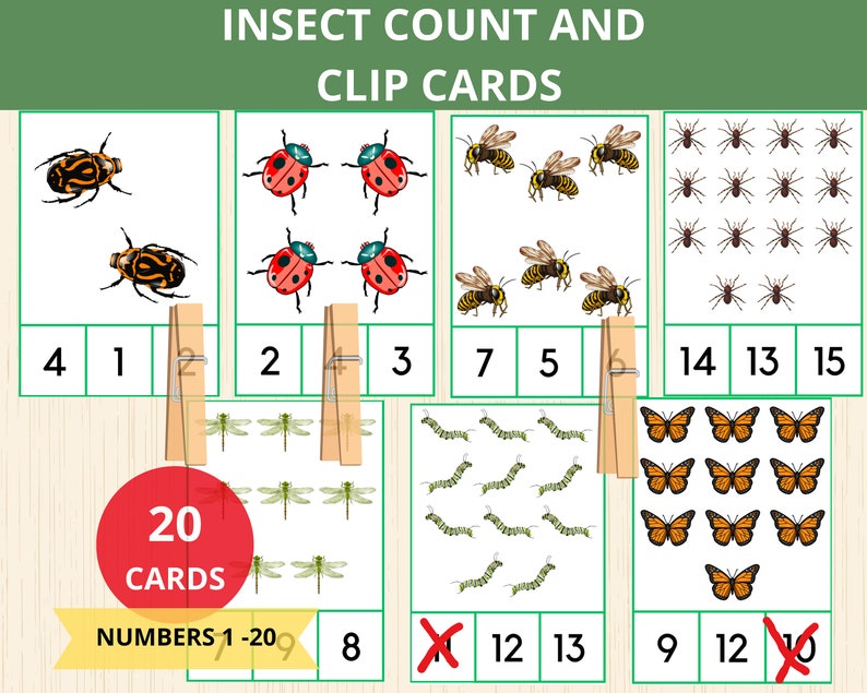Insect Count and Clip Cards,numbers 1-20,insect Montessori,counting ...