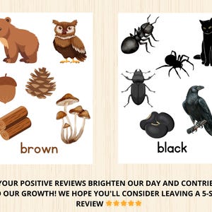 Colors in Nature Flashcards,nature Color Flashcards,montessori Colors ...