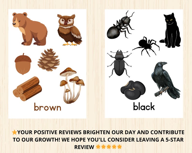 Colors in Nature Flashcards,nature Color Flashcards,montessori Colors ...