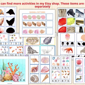 Seashell Matching Activity,seashell Matching Game,ocean Animal Puzzles ...