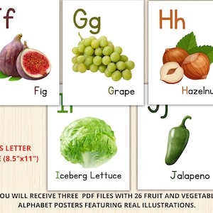 Fruit and Vegetables Alphabet Poster,fruit Flashcards,veggies A to Z ...