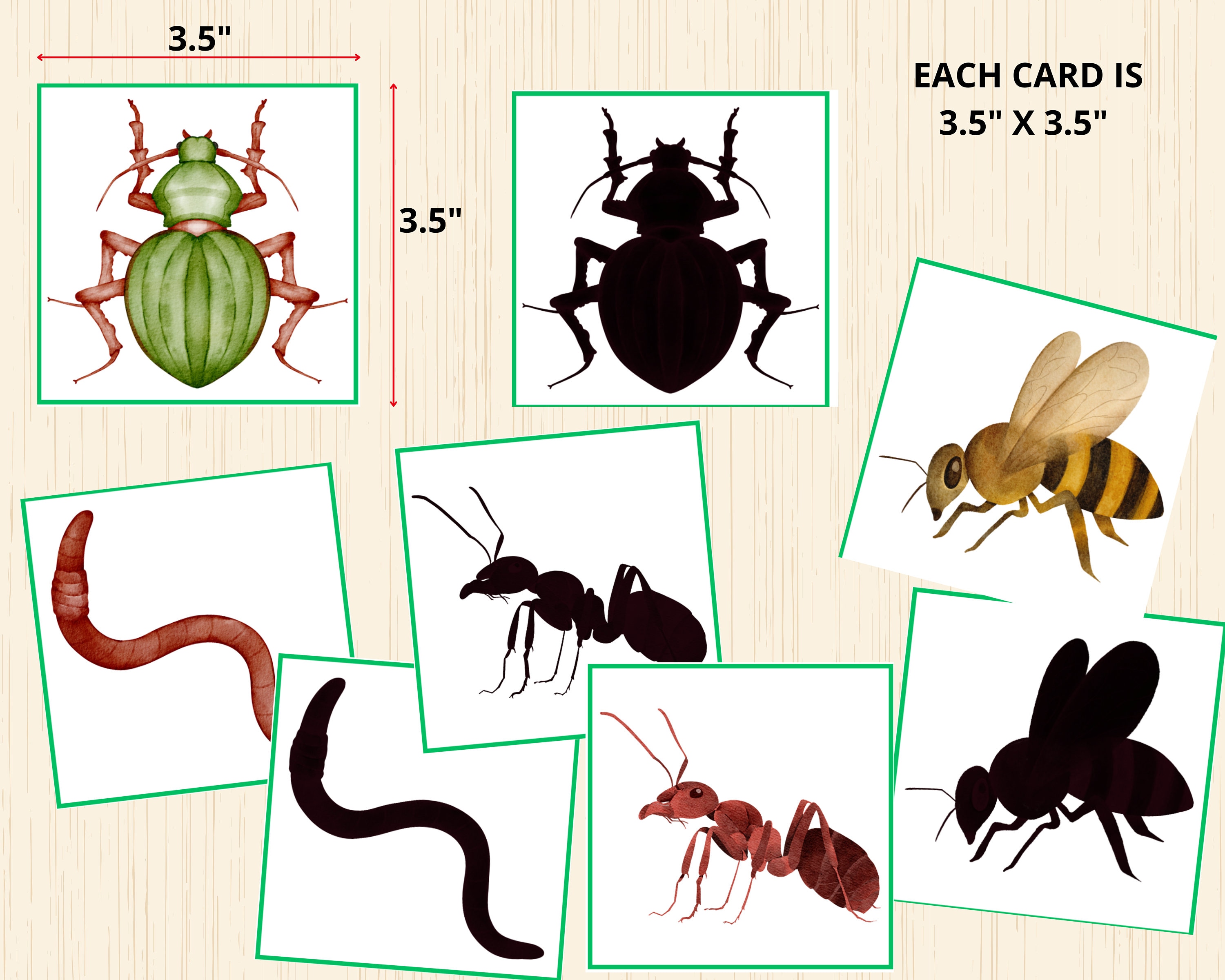 Insect Shadow Matching Cards,bug Shadow Matching, Preschool Insects ...