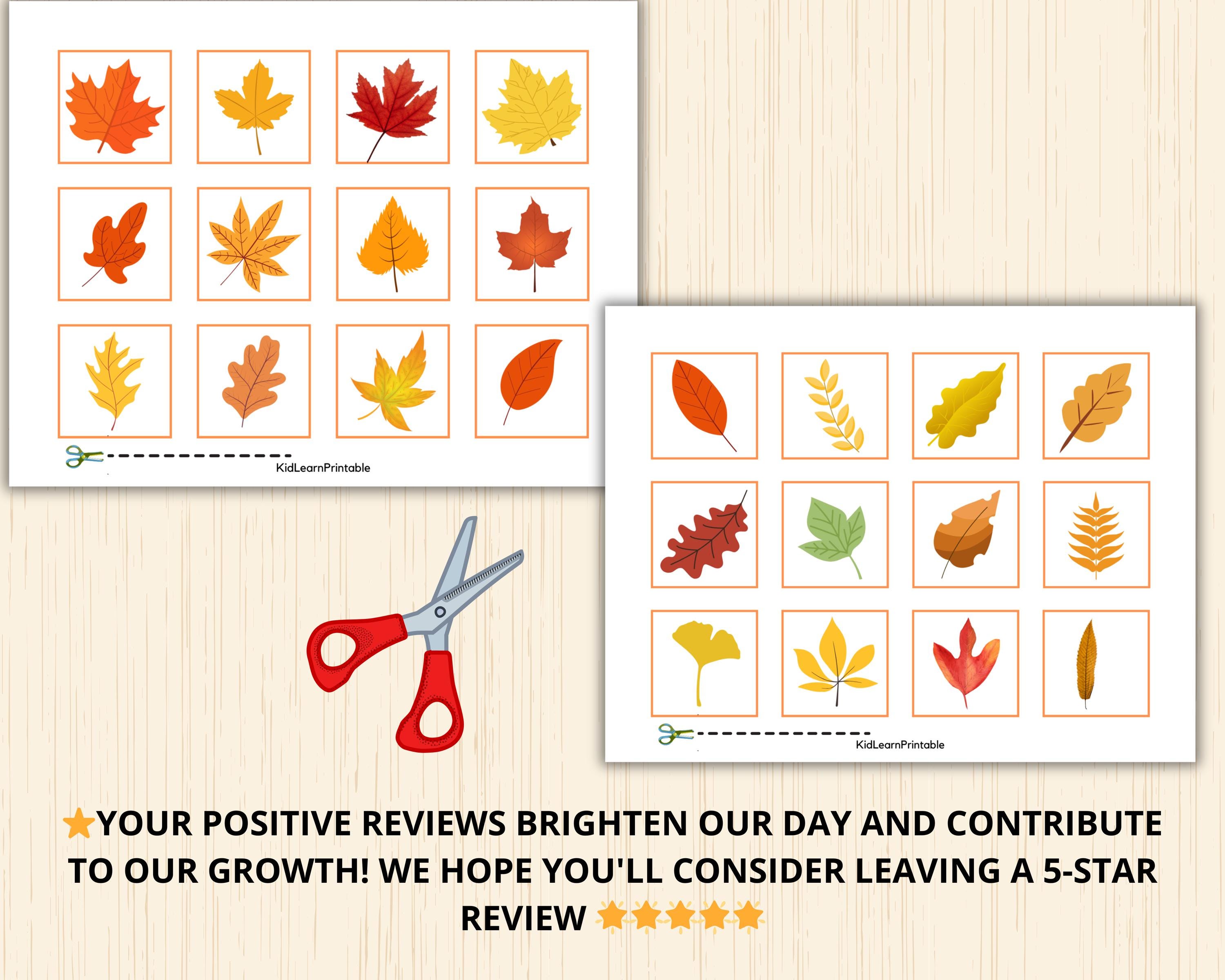 Leaf Patterns,leaves Montessori,pattern Worksheets,homeschool Learning ...