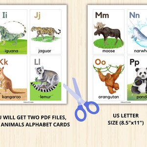 Zoo Animal Alphabet Cards,animals Flashcards,animals Montessori,safari ...
