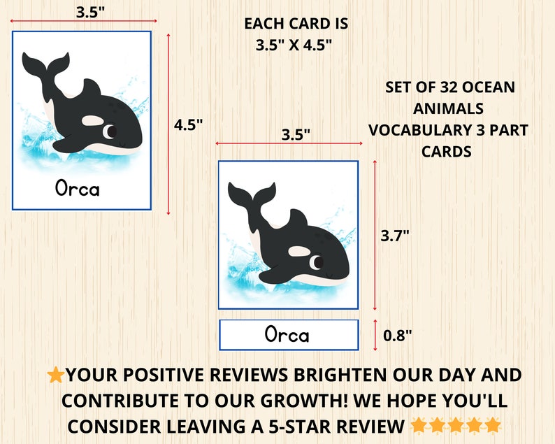 Ocean Montessori 3 Part Cards,sea Animals Vocabulary Cards,ocean Animal ...