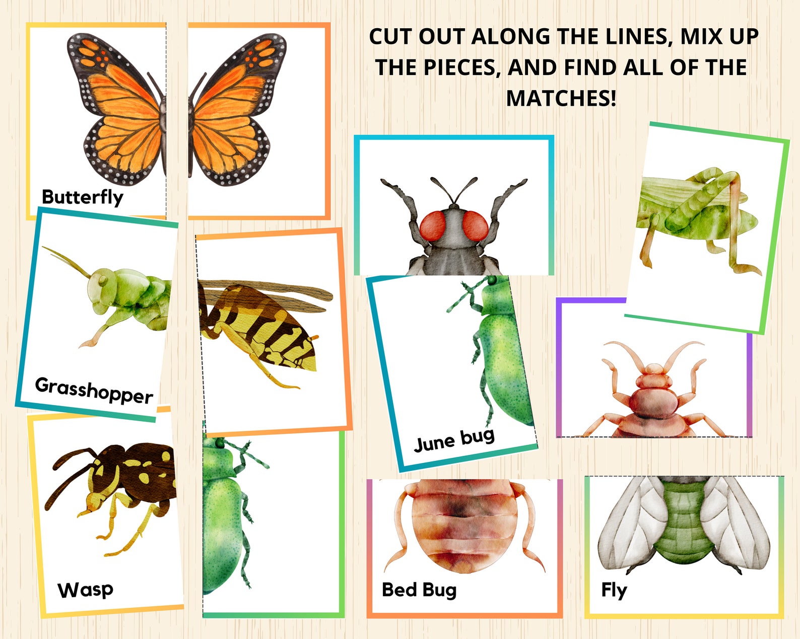 Insect Matching Activity, Insect Puzzles, Insect Symmetry, Bug Matching ...
