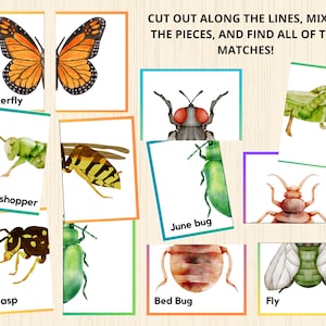 Insect Matching Activity, Insect Puzzles, Insect Symmetry, Bug Matching ...