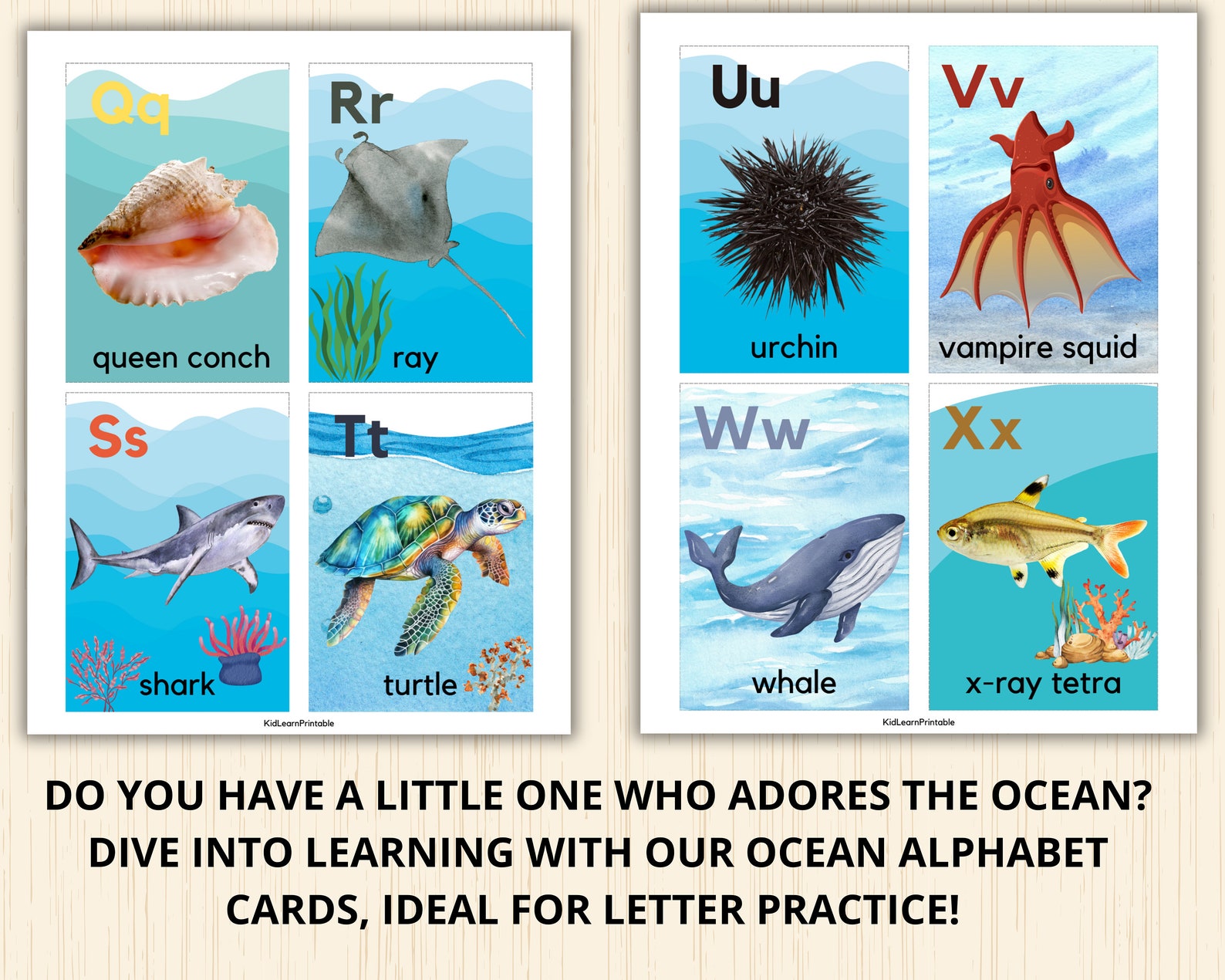 Ocean Alphabet Cards,ocean Animal Flash Cards,montessori,world Ocean ...