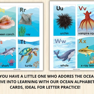 Ocean Alphabet Cards,ocean Animal Flash Cards,montessori,world Ocean ...