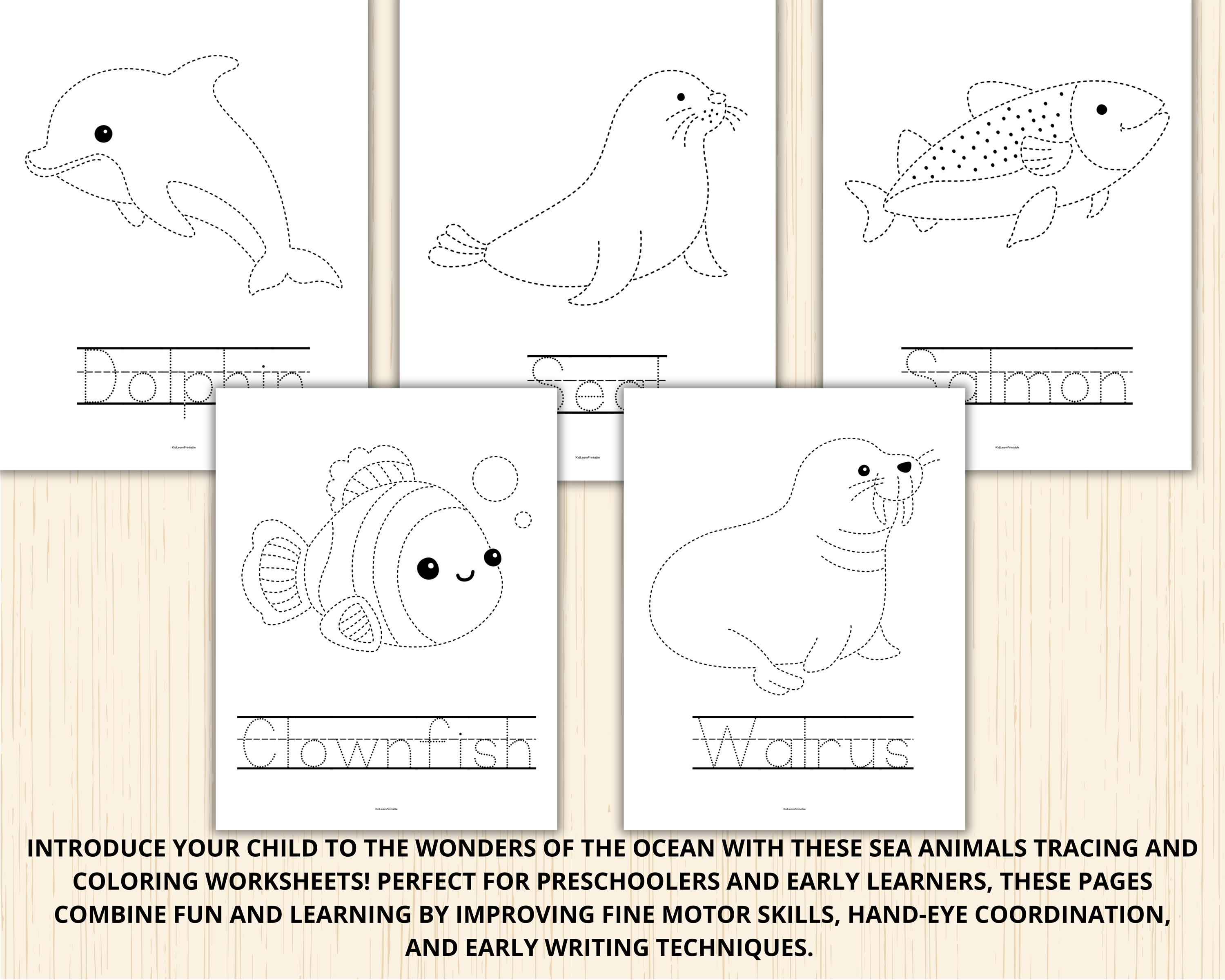 Ocean Animals Tracing,ocean Animal Coloring Pages,tracing Sea Animals ...