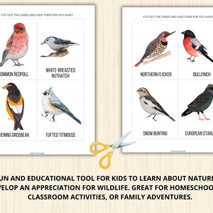 Winter Birds Scavenger Hunt,winter Birds Identification,bird Scavenger ...