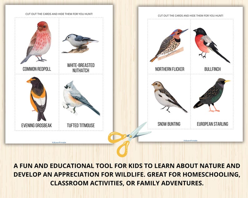 Winter Birds Scavenger Hunt,winter Birds Identification,bird Scavenger ...