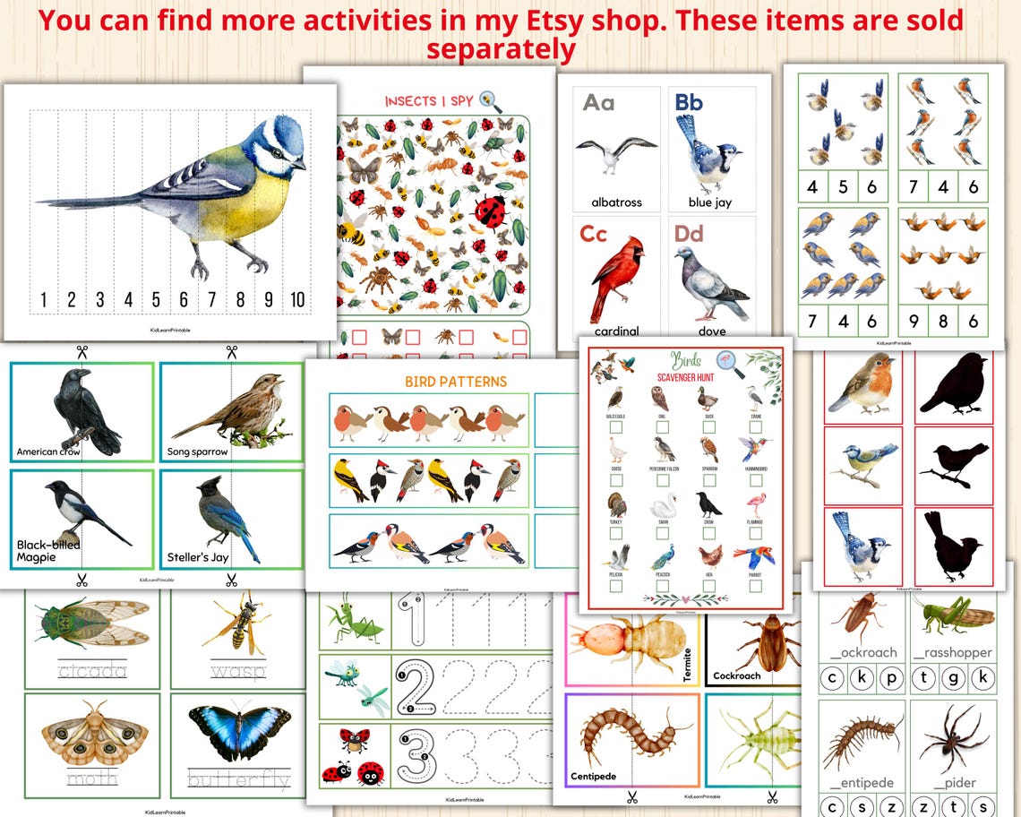 Bird Patterns,backyard Birds Activity,birds What Comes Next,pattern ...