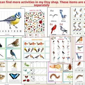 Bird Patterns,backyard Birds Activity,birds What Comes Next,pattern ...