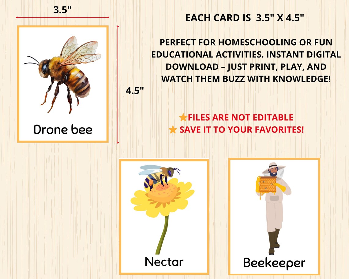 Bee Flashcards,honeybee Flashcards,nature Cards,bee Unit Study,insect ...