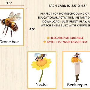 Bee Flashcards,honeybee Flashcards,nature Cards,bee Unit Study,insect ...