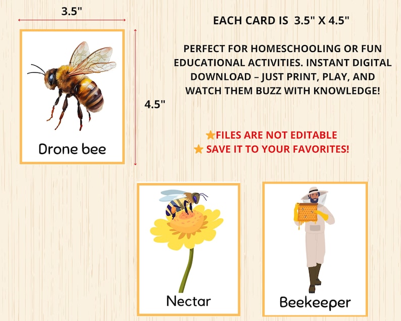 Bee Flashcards,honeybee Flashcards,nature Cards,bee Unit Study,insect ...