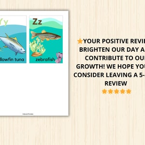Ocean Alphabet Cards,ocean Animal Flash Cards,montessori,world Ocean ...