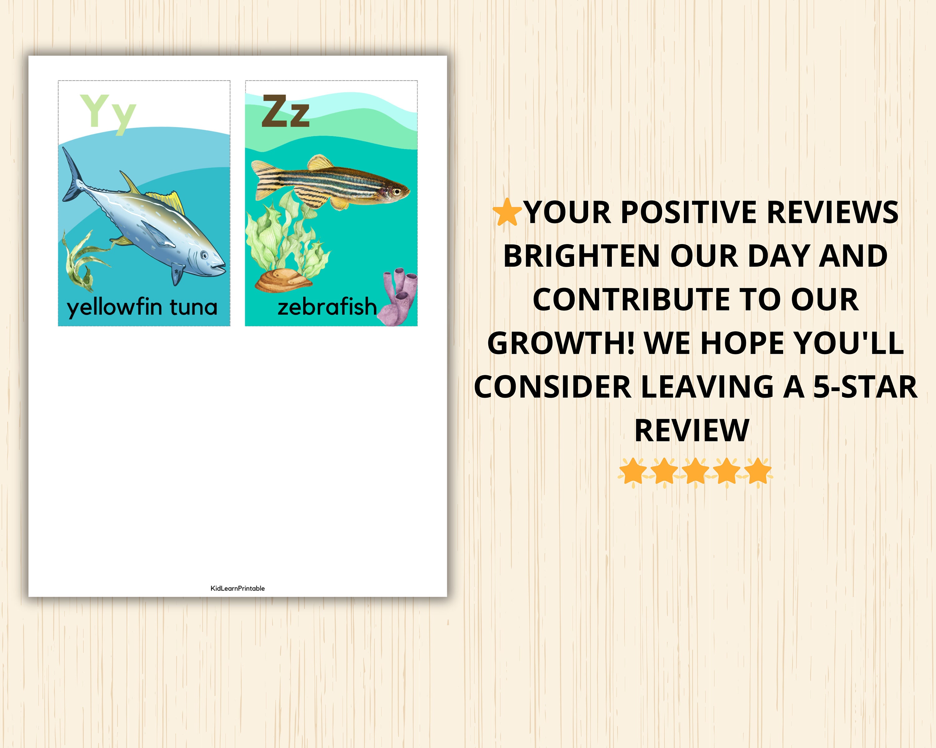 Ocean Alphabet Cards,ocean Animal Flash Cards,montessori,world Ocean ...