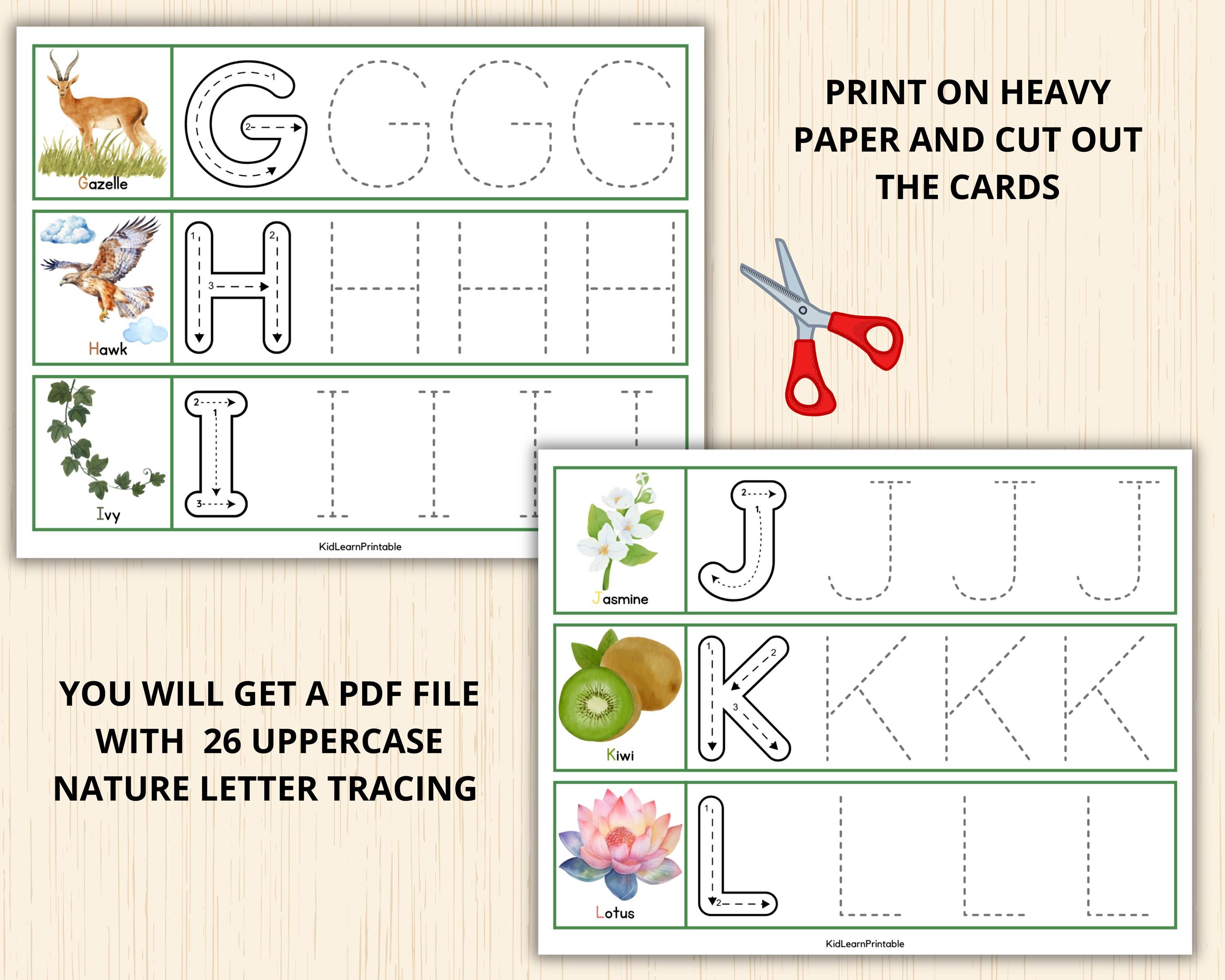 Nature Alphabet Cards Tracing Letters,nature Alphabet Cards,letter ...