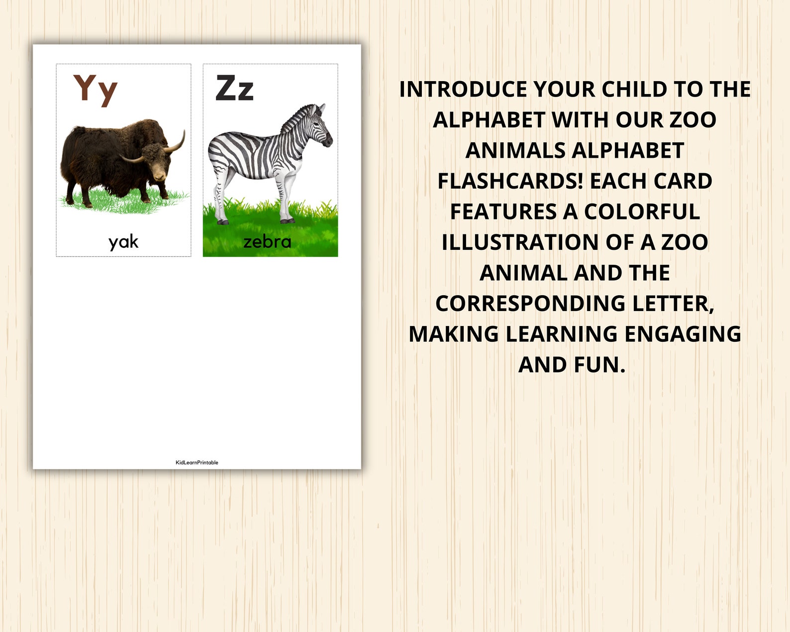 Zoo Animal Alphabet Cards,animals Flashcards,animals Montessori,safari ...