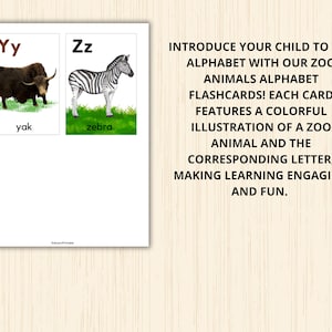 Zoo Animal Alphabet Cards,animals Flashcards,animals Montessori,safari ...