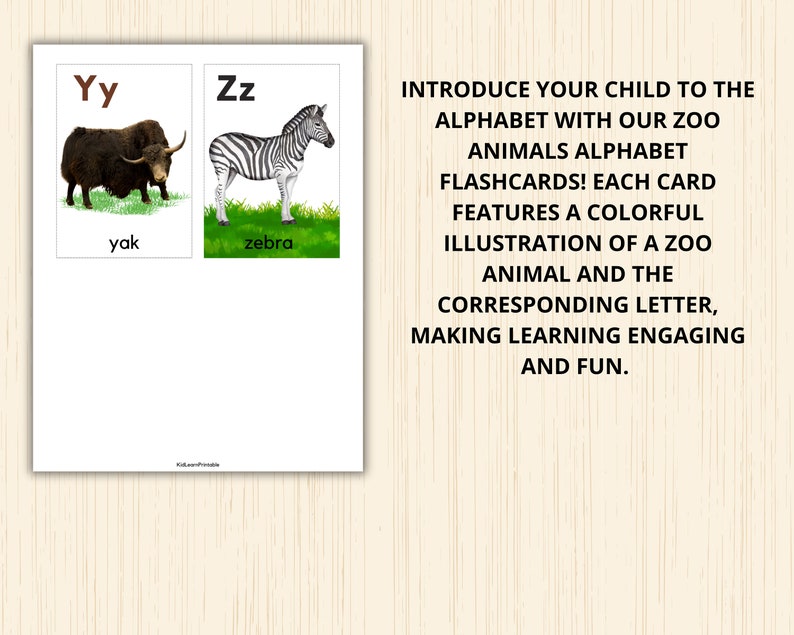 Zoo Animal Alphabet Cards,animals Flashcards,animals Montessori,safari ...