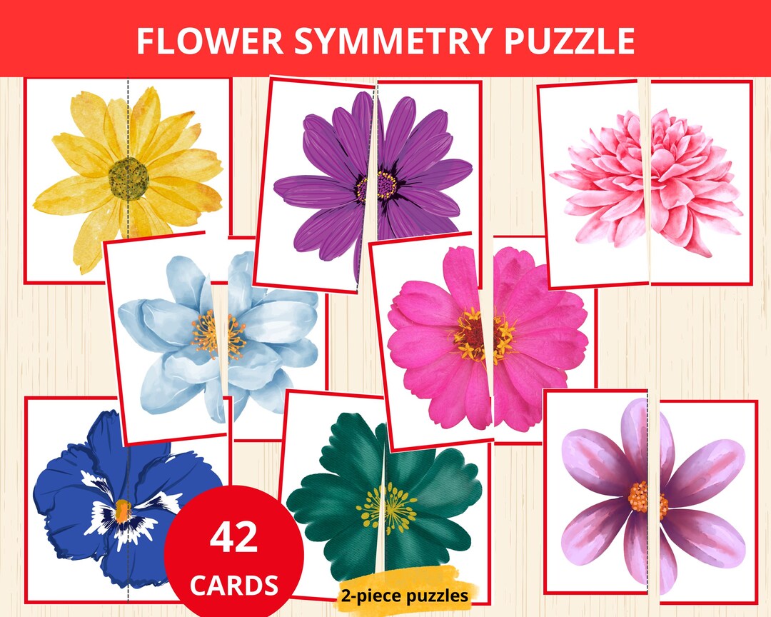 Flowers Symmetry Matching,flower Puzzle,flowers Unit Study,spring ...