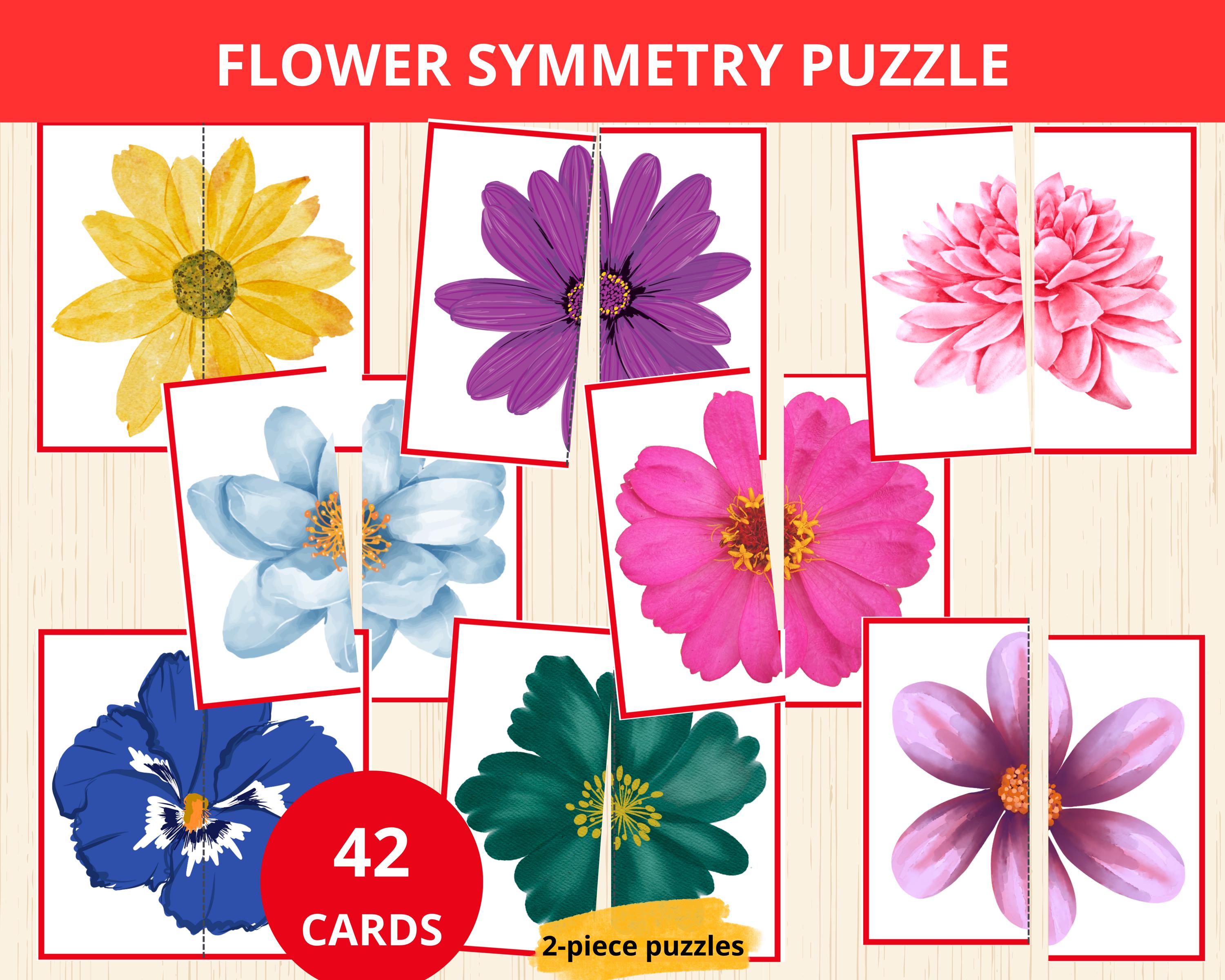 Flowers Symmetry Matching,flower Puzzle,flowers Unit Study,spring ...