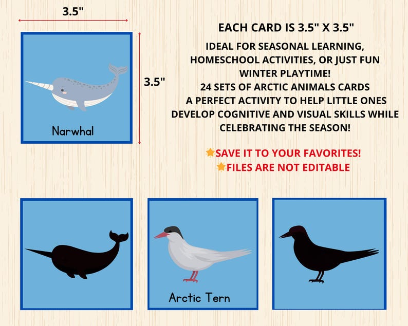 Arctic Animals Shadow Matching,north Pole Animals,winter Matching ...